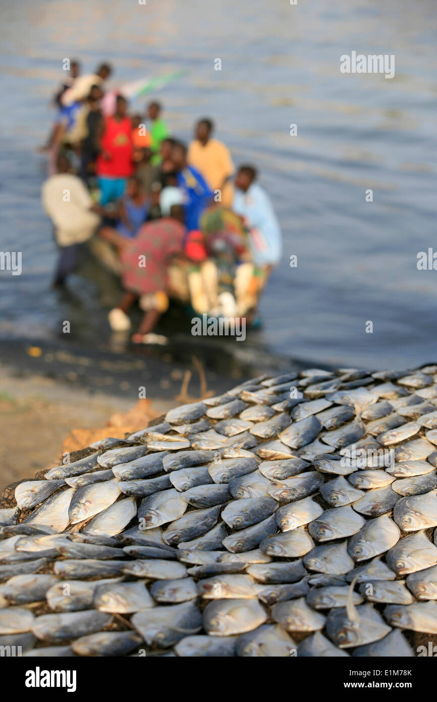 Fish and boat Stock Photo - Alamy