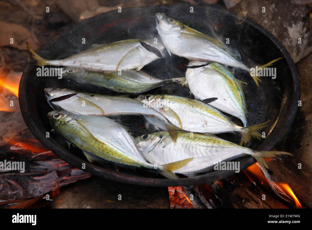 Senegalese cooking hi-res stock photography and images - Alamy