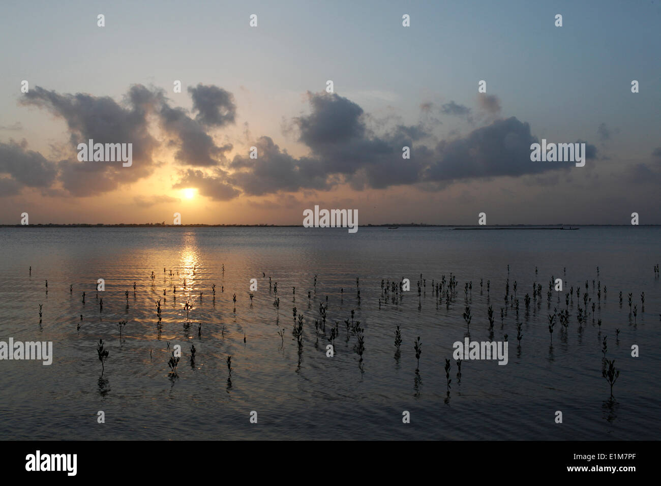 Dawn and river hi-res stock photography and images - Alamy