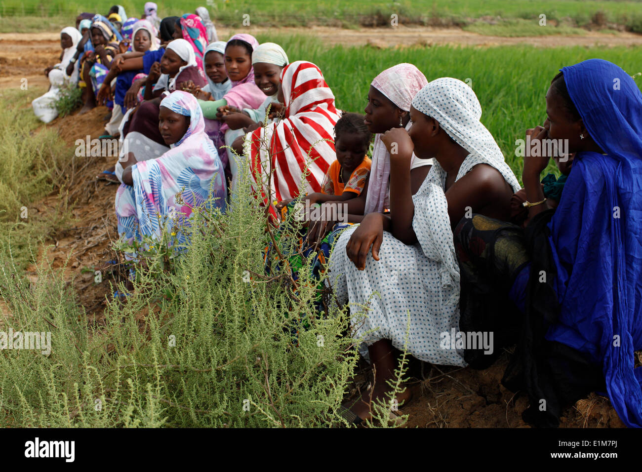 Senegalese farmers in a field Stock Photo - Alamy