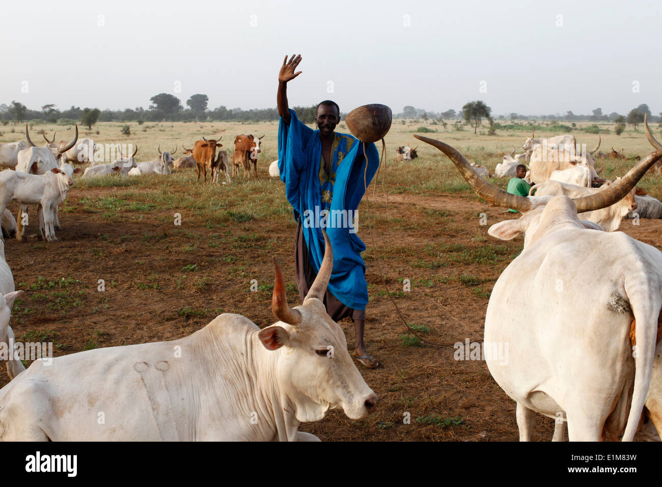 Animal herder hi-res stock photography and images - Alamy