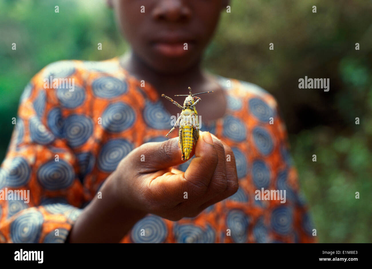 Boy showing a locust Stock Photo - Alamy