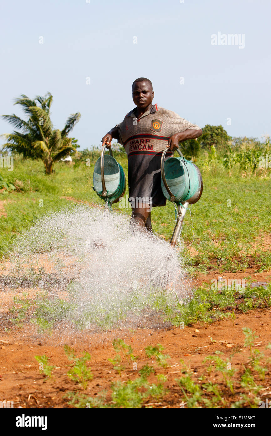 Watering Crops High Resolution Stock Photography and Images - Alamy