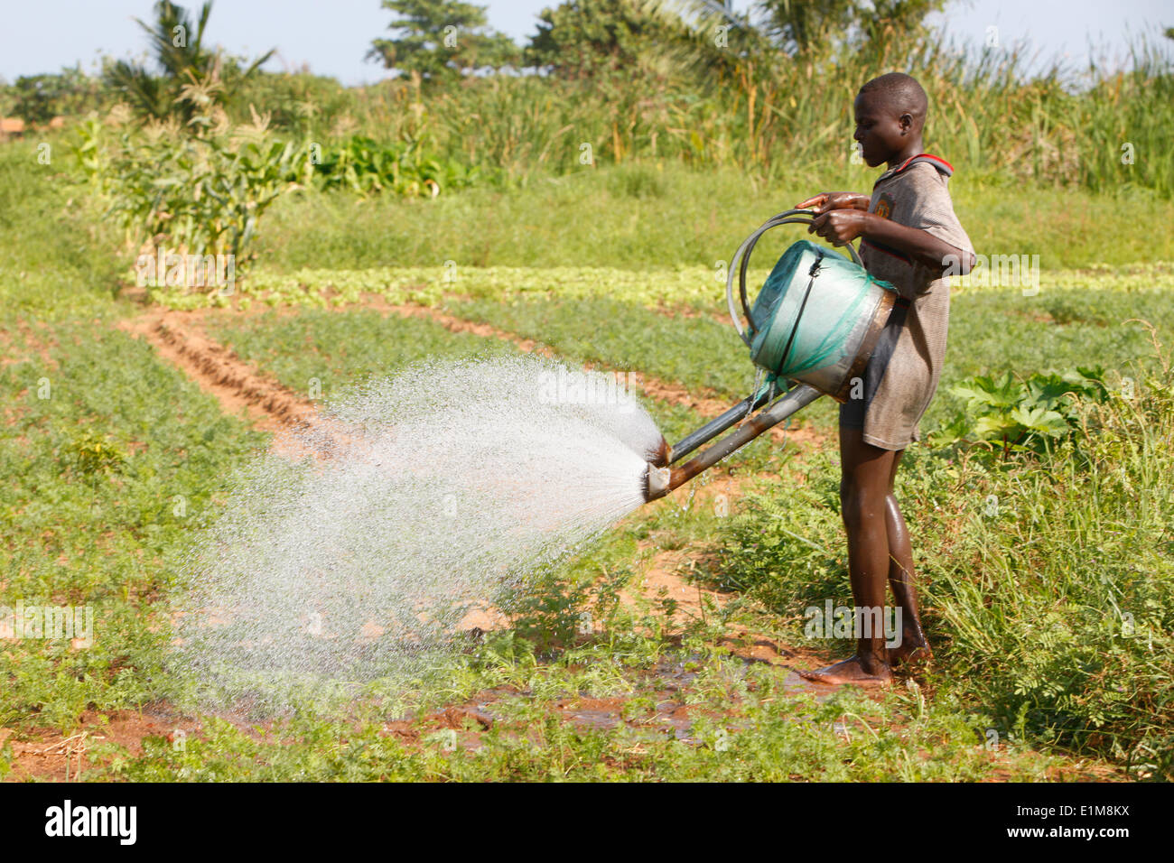 Watering crops hi-res stock photography and images - Alamy