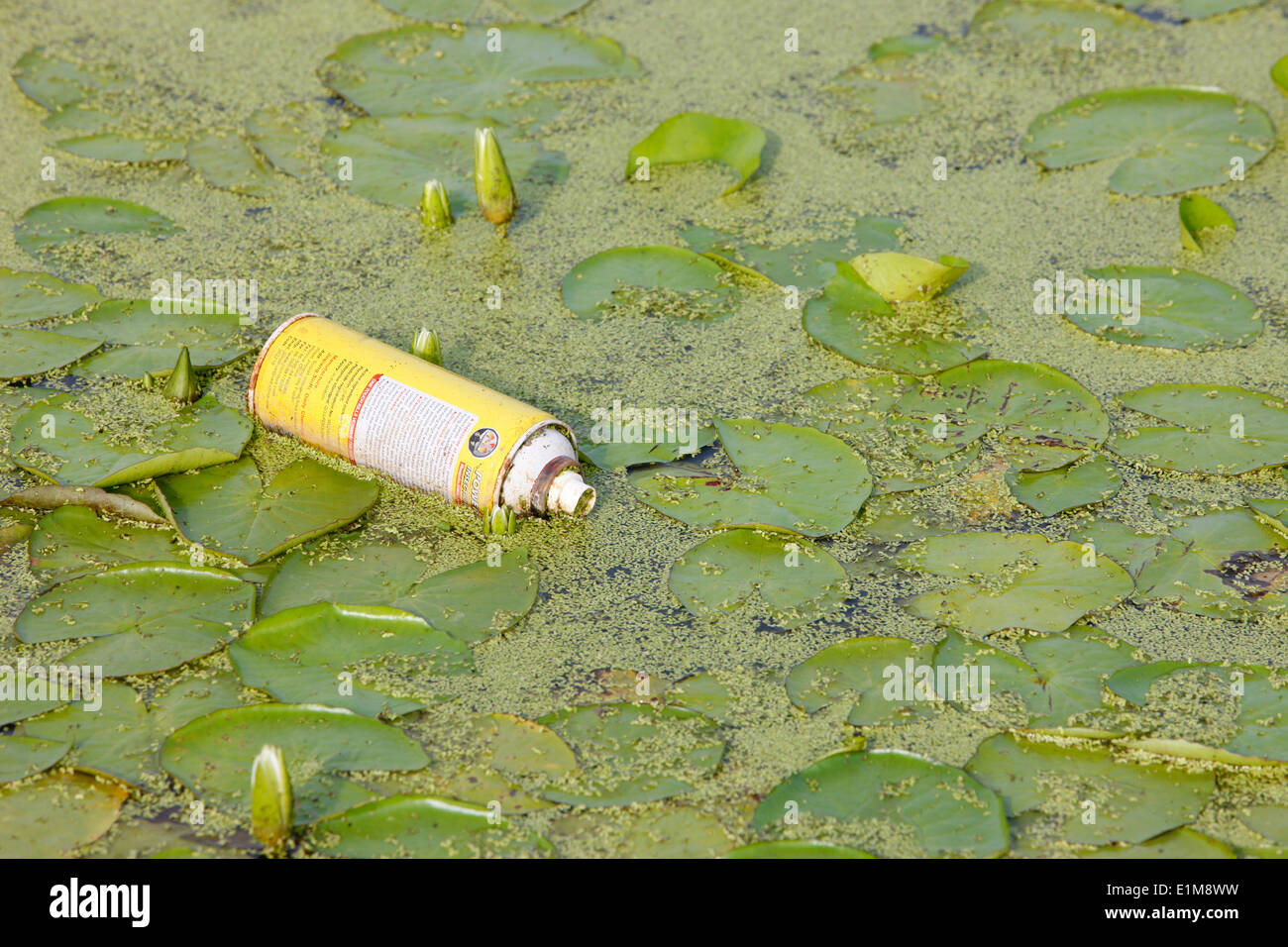 Pollution in a pond. Africa Stock Photo - Alamy