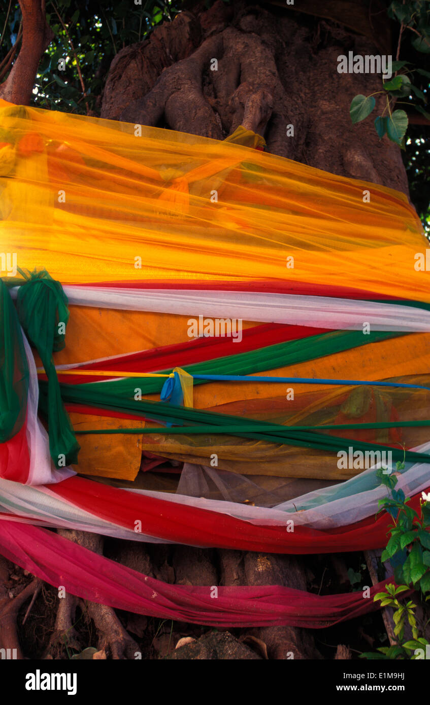 Sacred tree wraped in scarves in Wat Pho buddhist temple Stock Photo ...