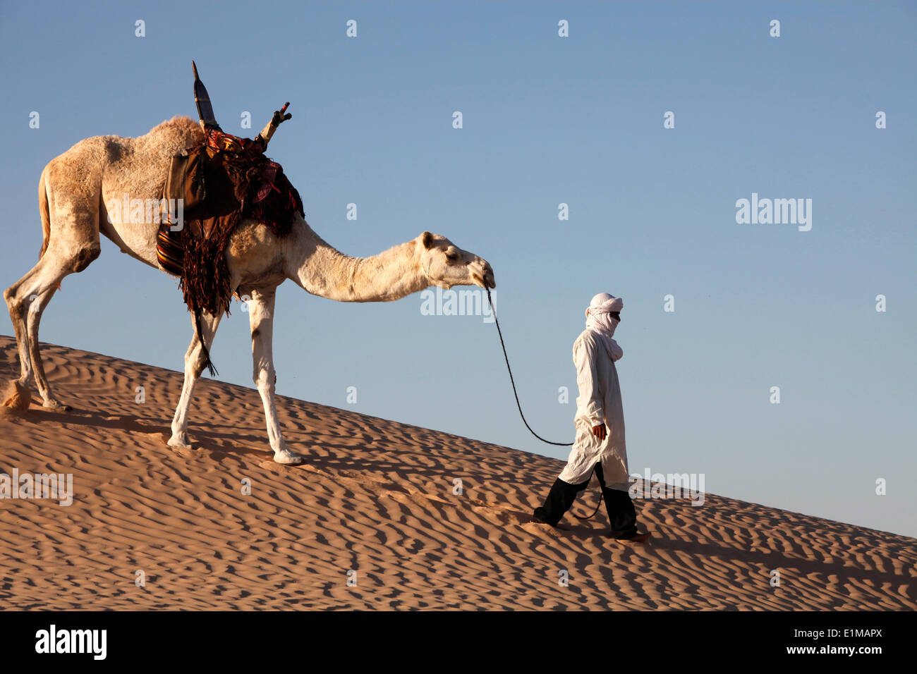Camel driver in the Sahara desert Stock Photo - Alamy