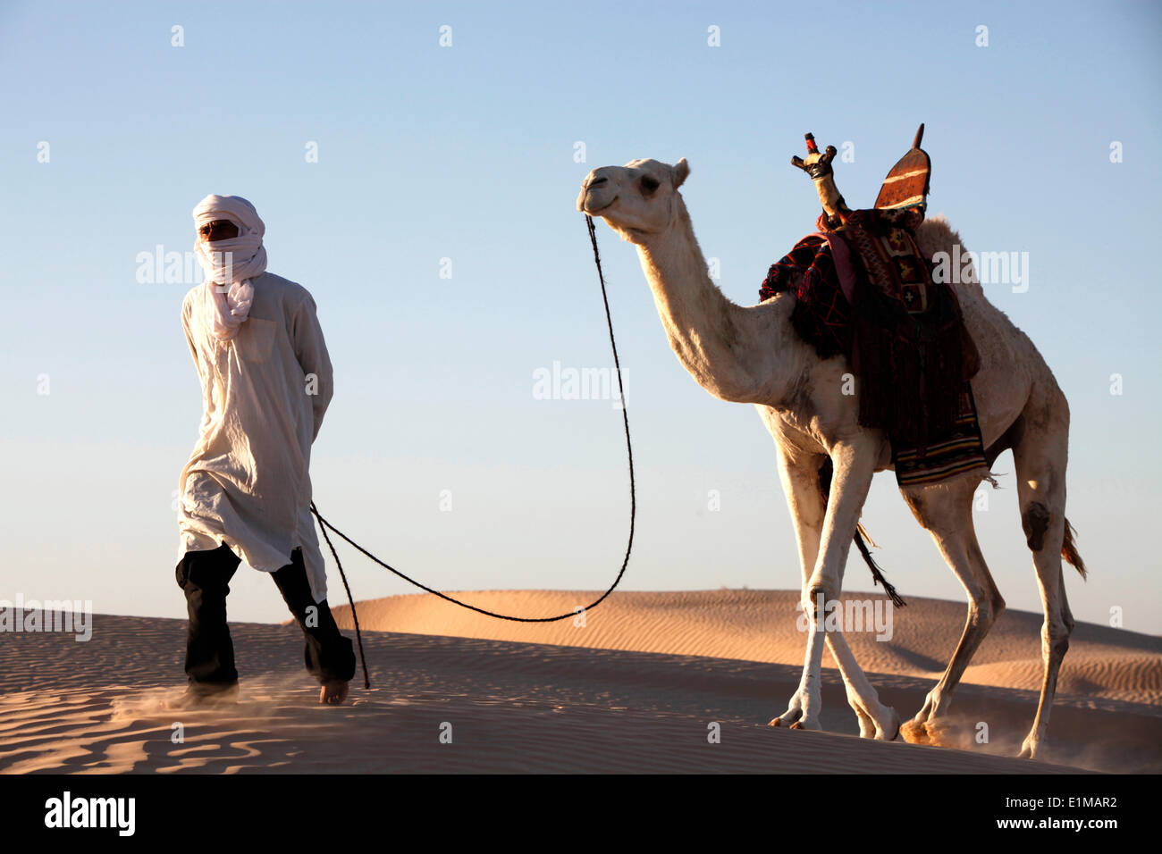 Camel driver in the Sahara desert Stock Photo - Alamy