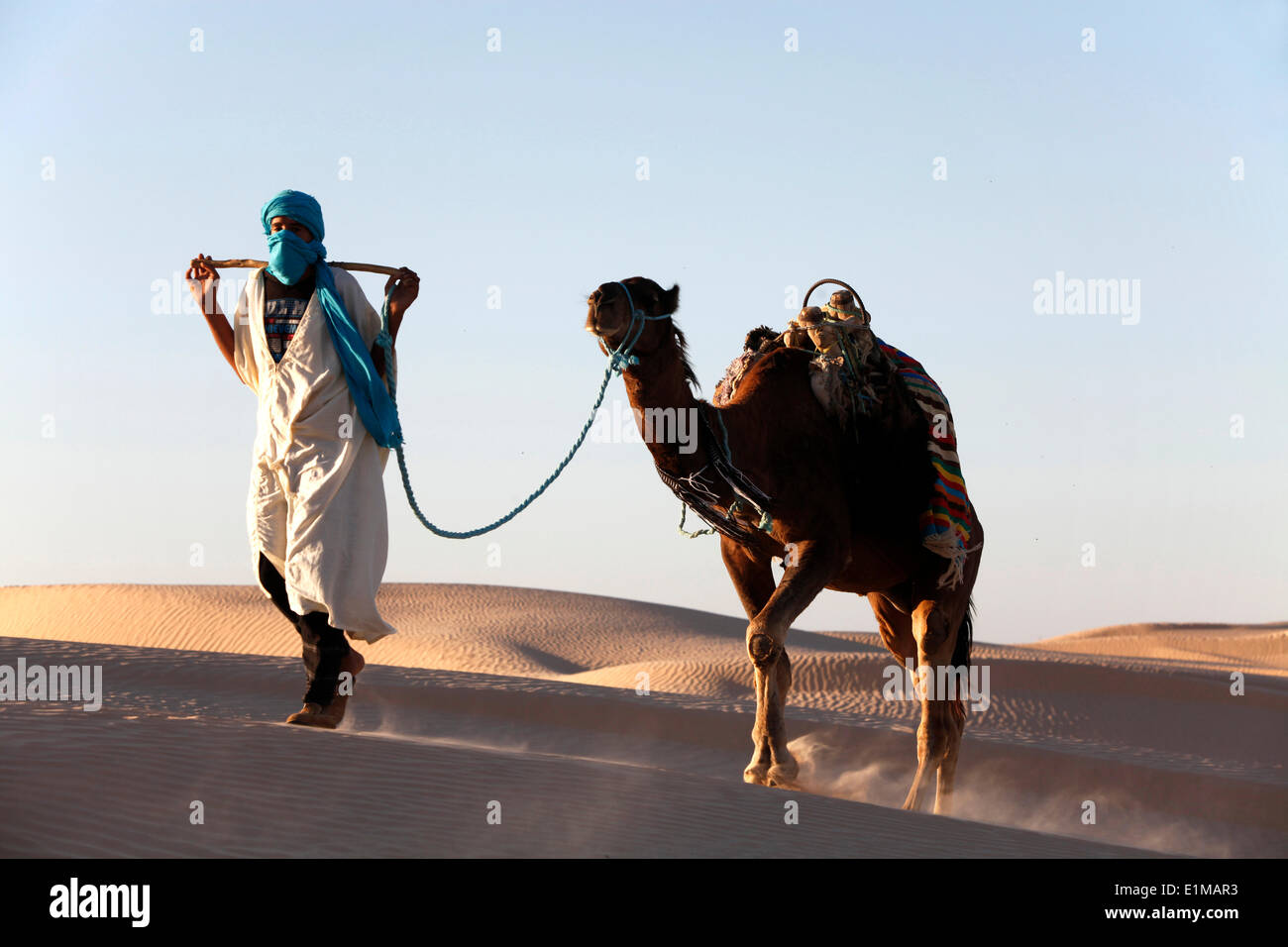 Camel driver in the Sahara desert Stock Photo - Alamy