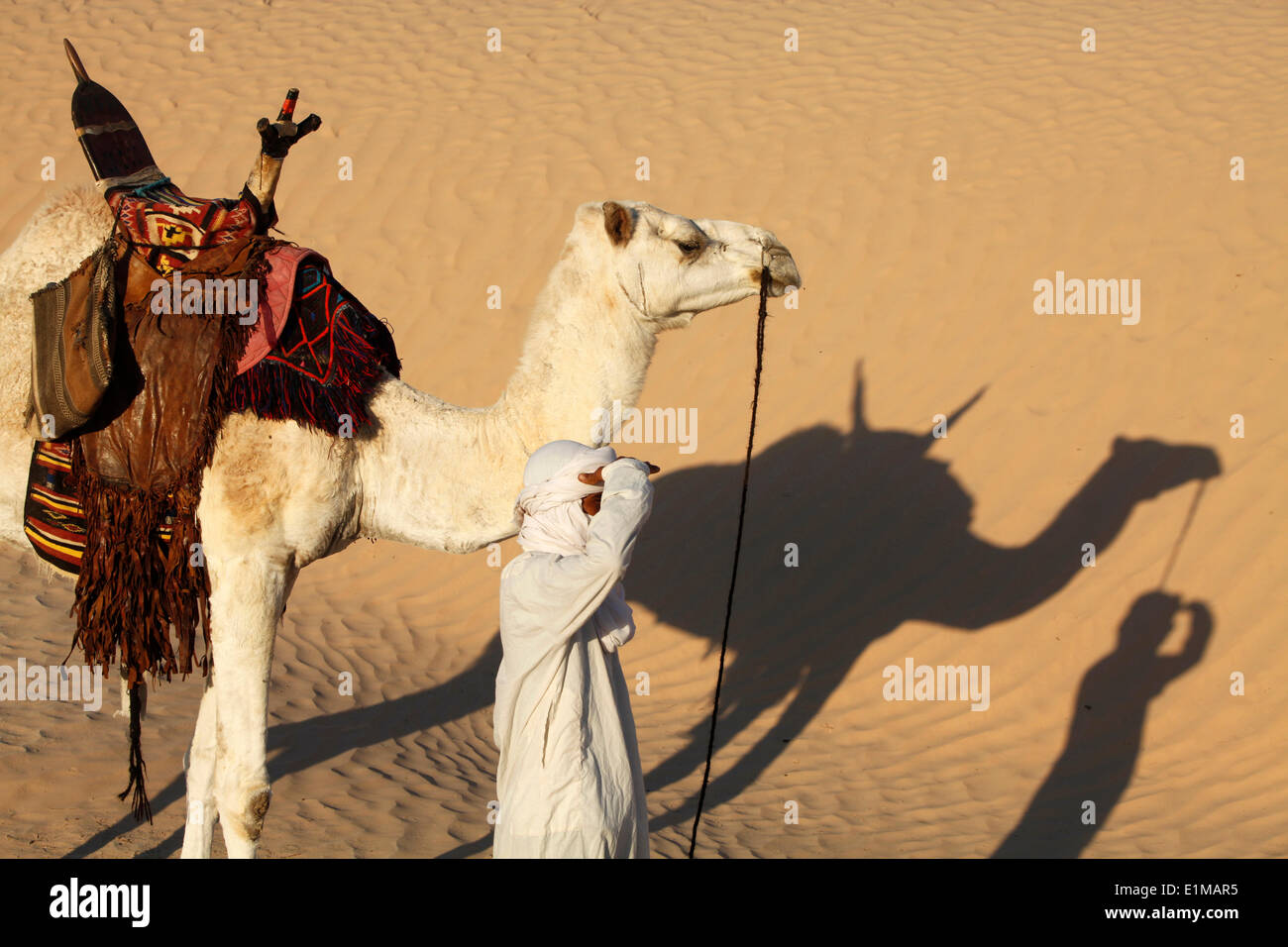 Camel driver in the Sahara desert Stock Photo - Alamy