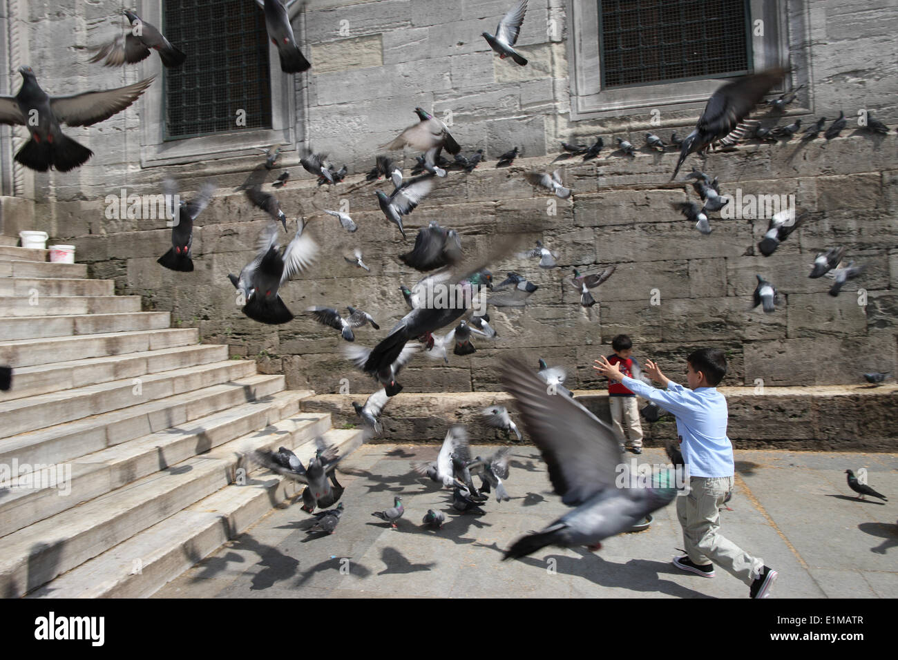 Boy Chasing Bird High Resolution Stock Photography and Images - Alamy