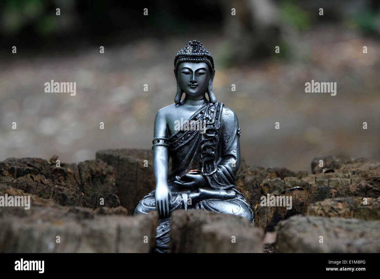 Statue in the garden of Buddhapadipa temple Stock Photo - Alamy