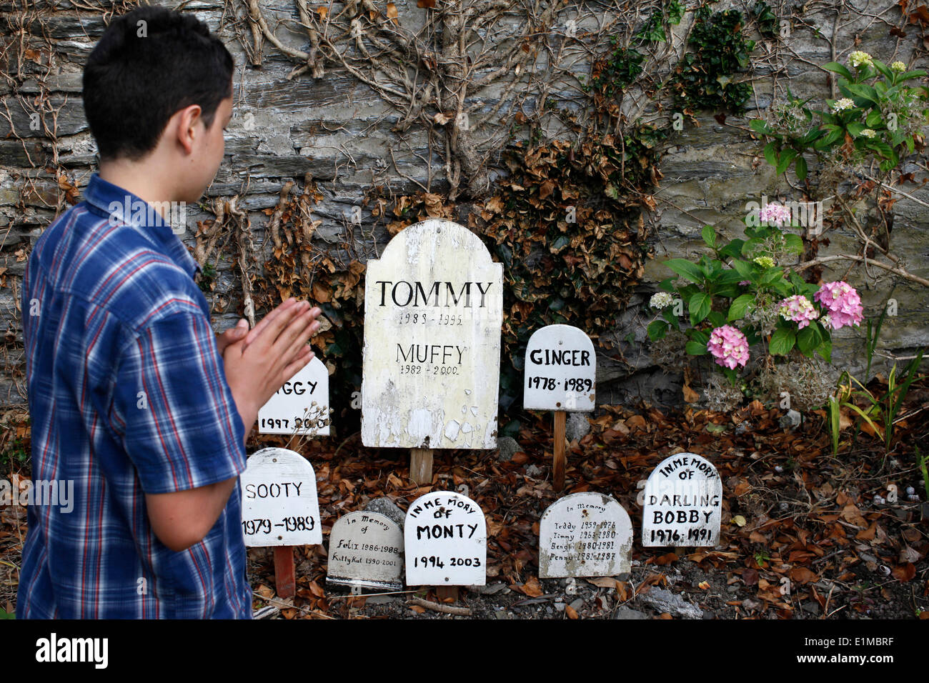 People praying at cemetery hi-res stock photography and images - Alamy