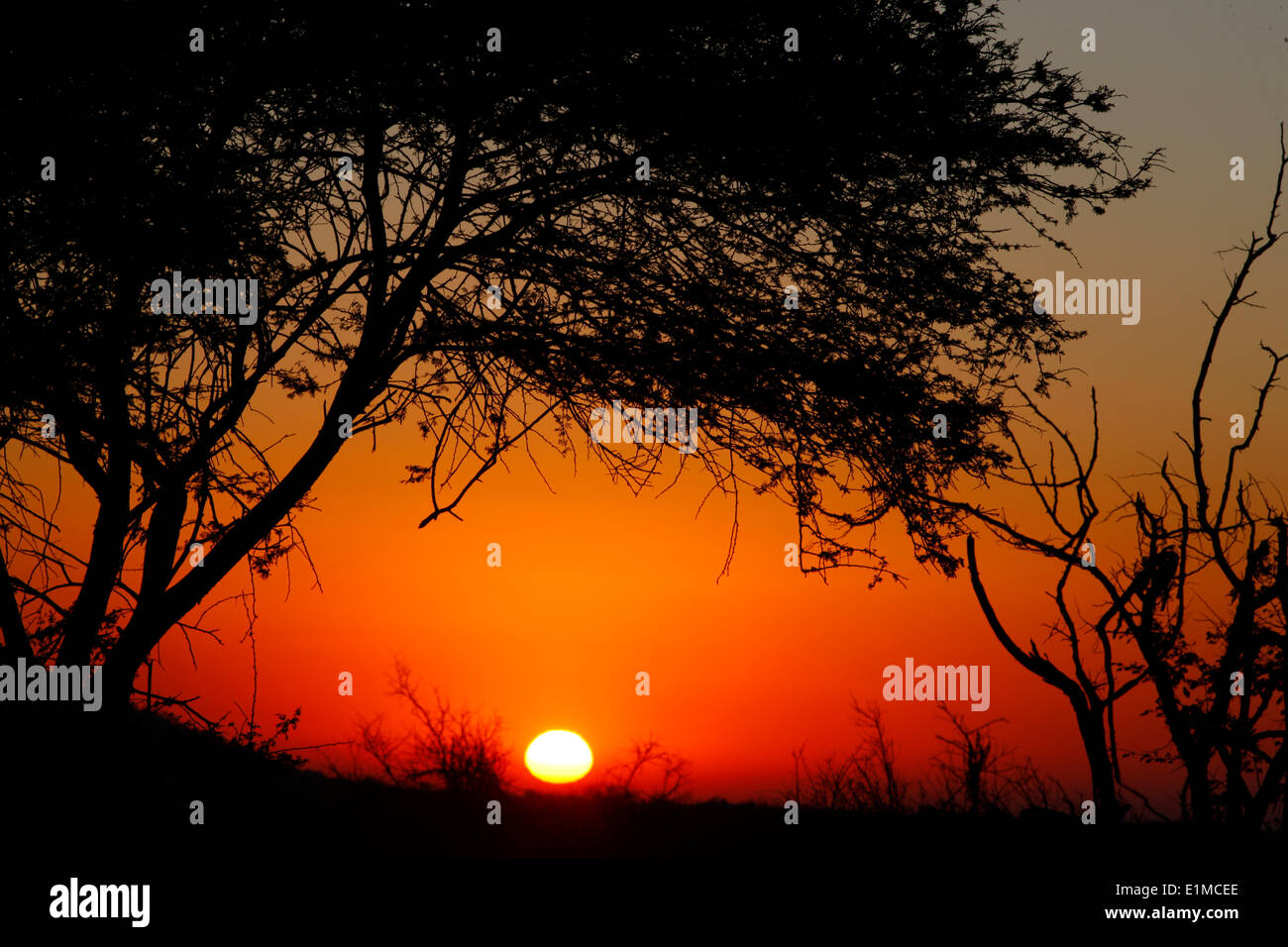 Sunset in South Africa Stock Photo - Alamy