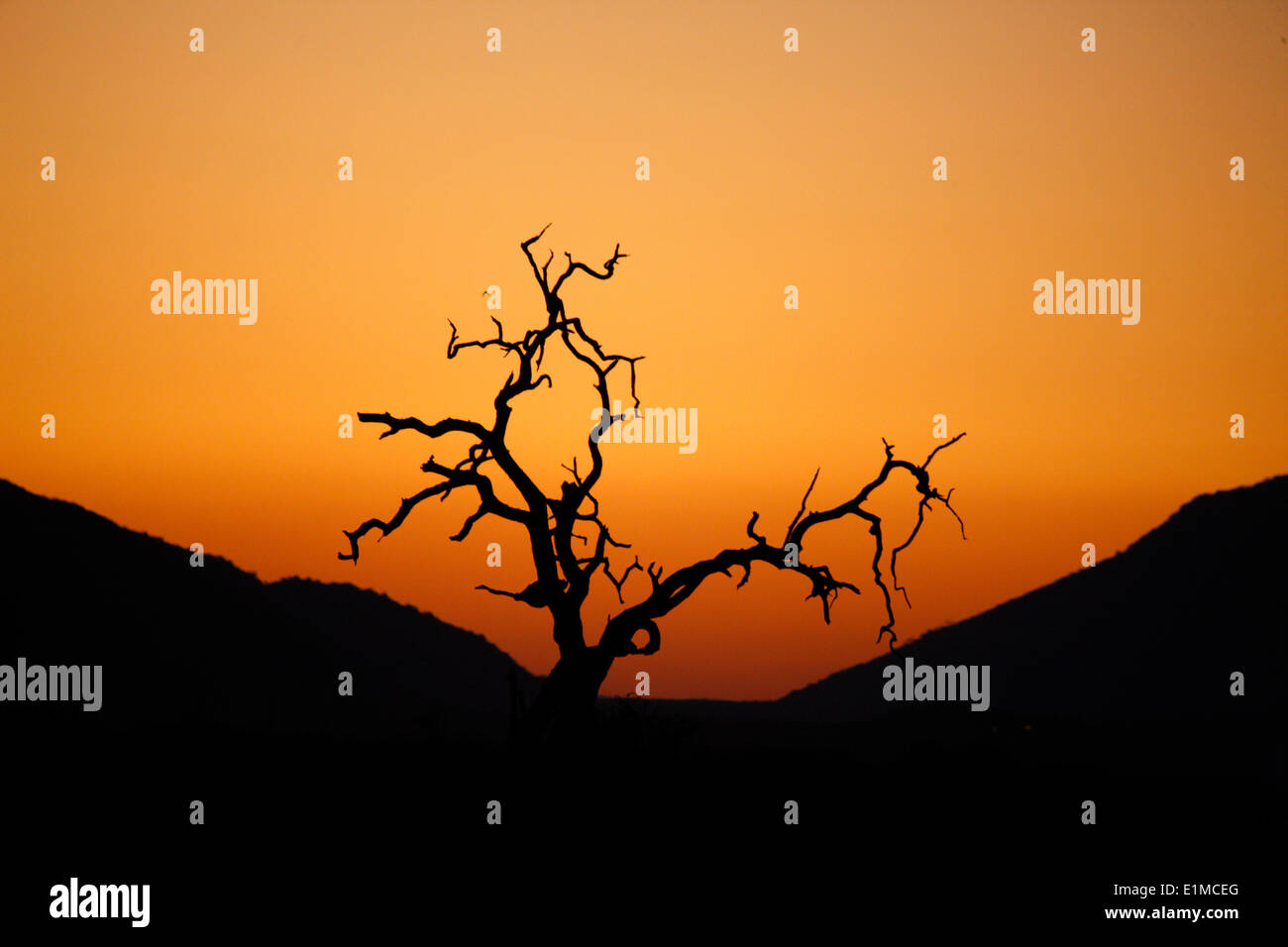 Sunset in South Africa Stock Photo - Alamy