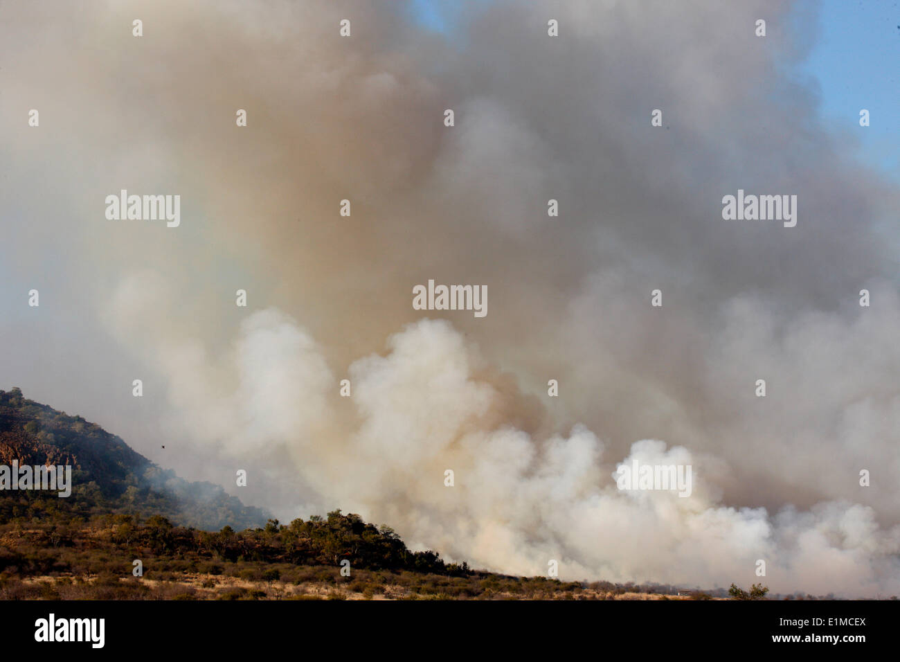 Madikwe game reserve. Fire Stock Photo - Alamy