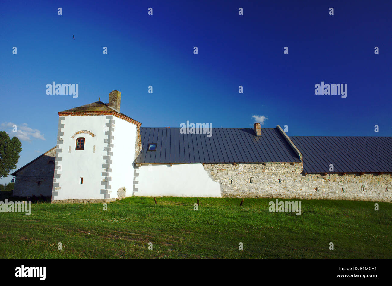 bastille and wall in medieval castle, Poland Stock Photo - Alamy