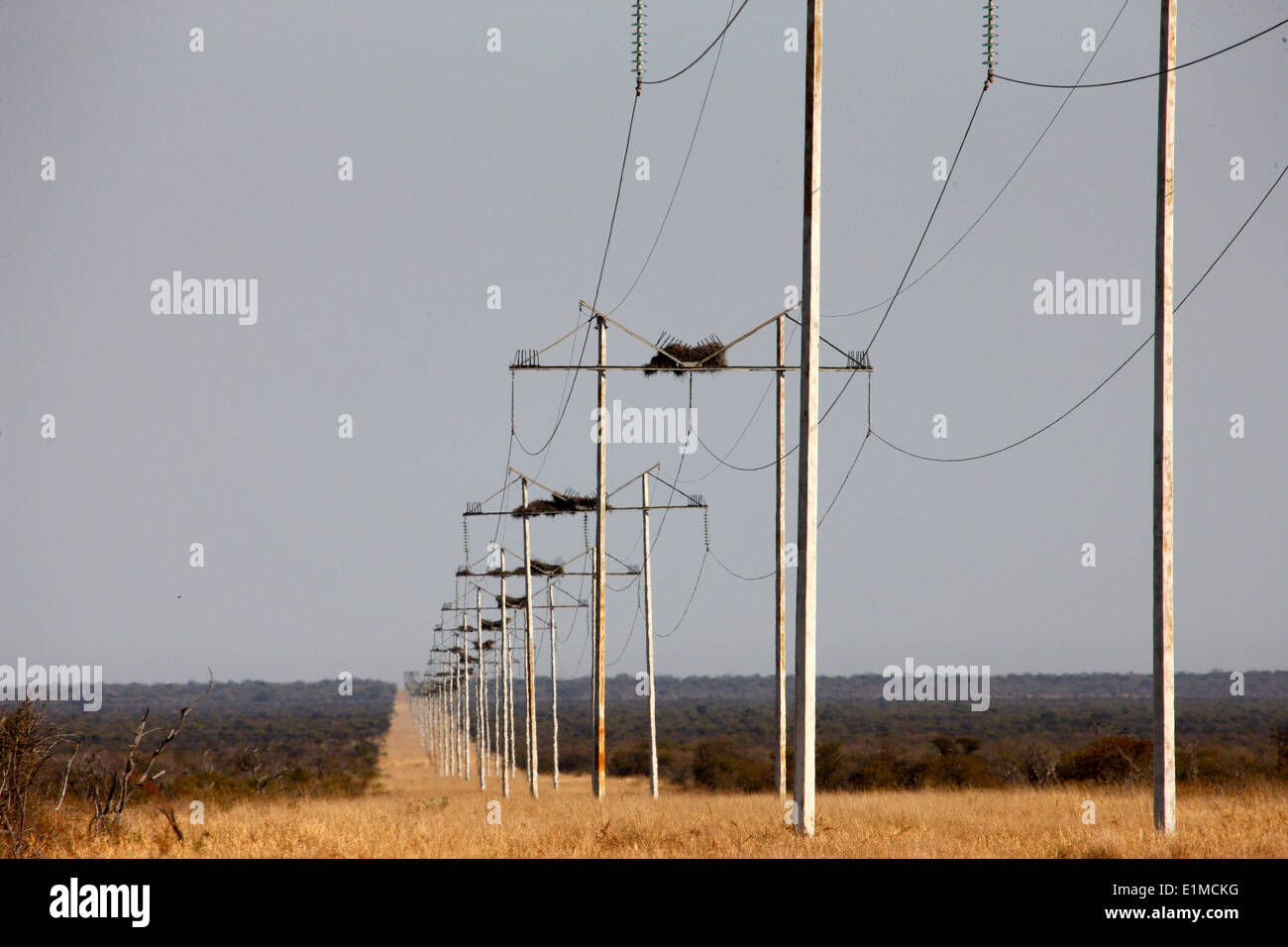 Electric wiring africa hi-res stock photography and images - Alamy