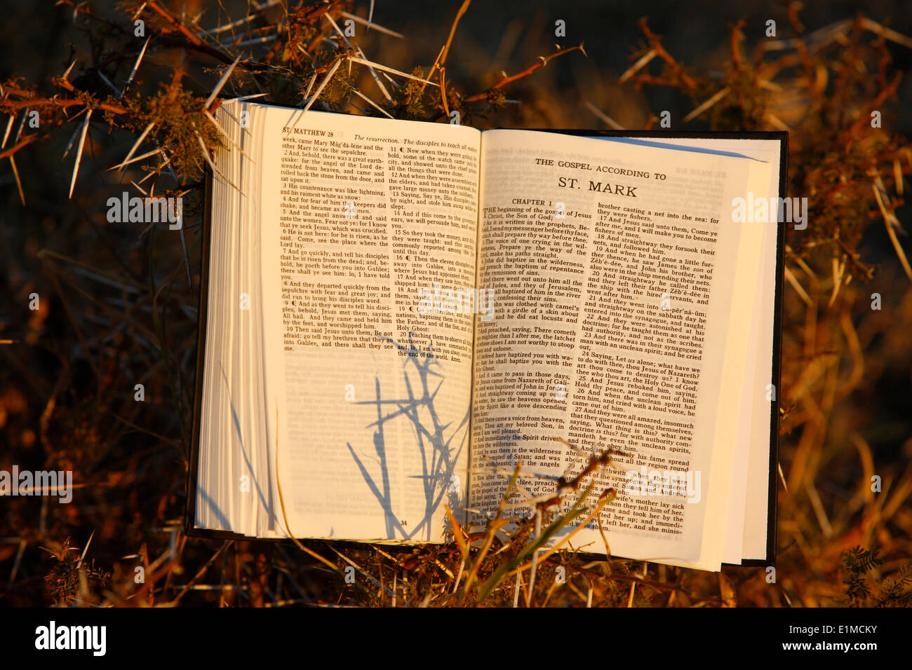 Bible. St Mark Stock Photo - Alamy