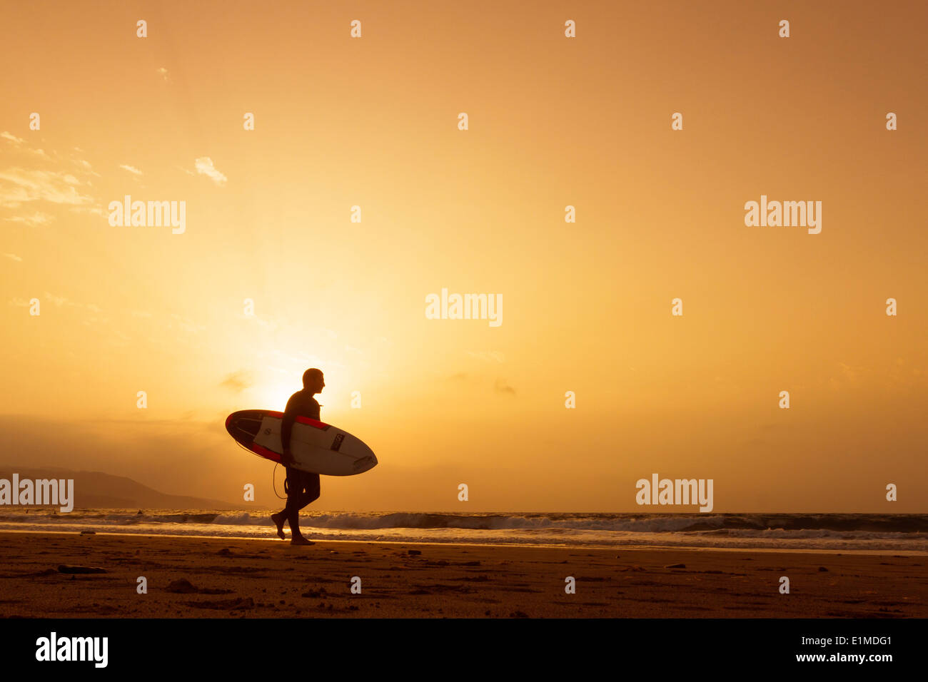 Sunset surfer on the beach Stock Photo - Alamy