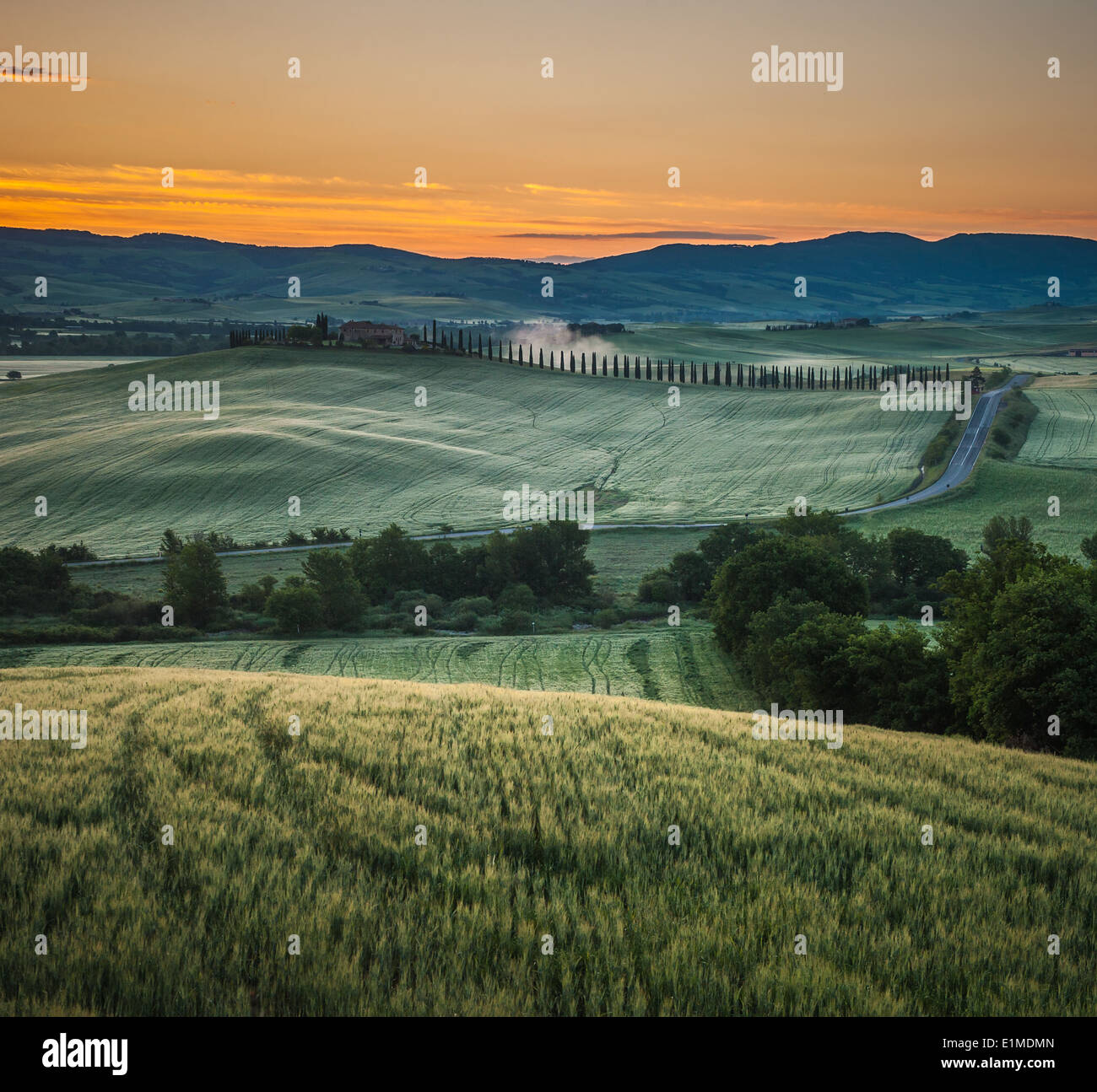 image of typical tuscan landscape Stock Photo - Alamy