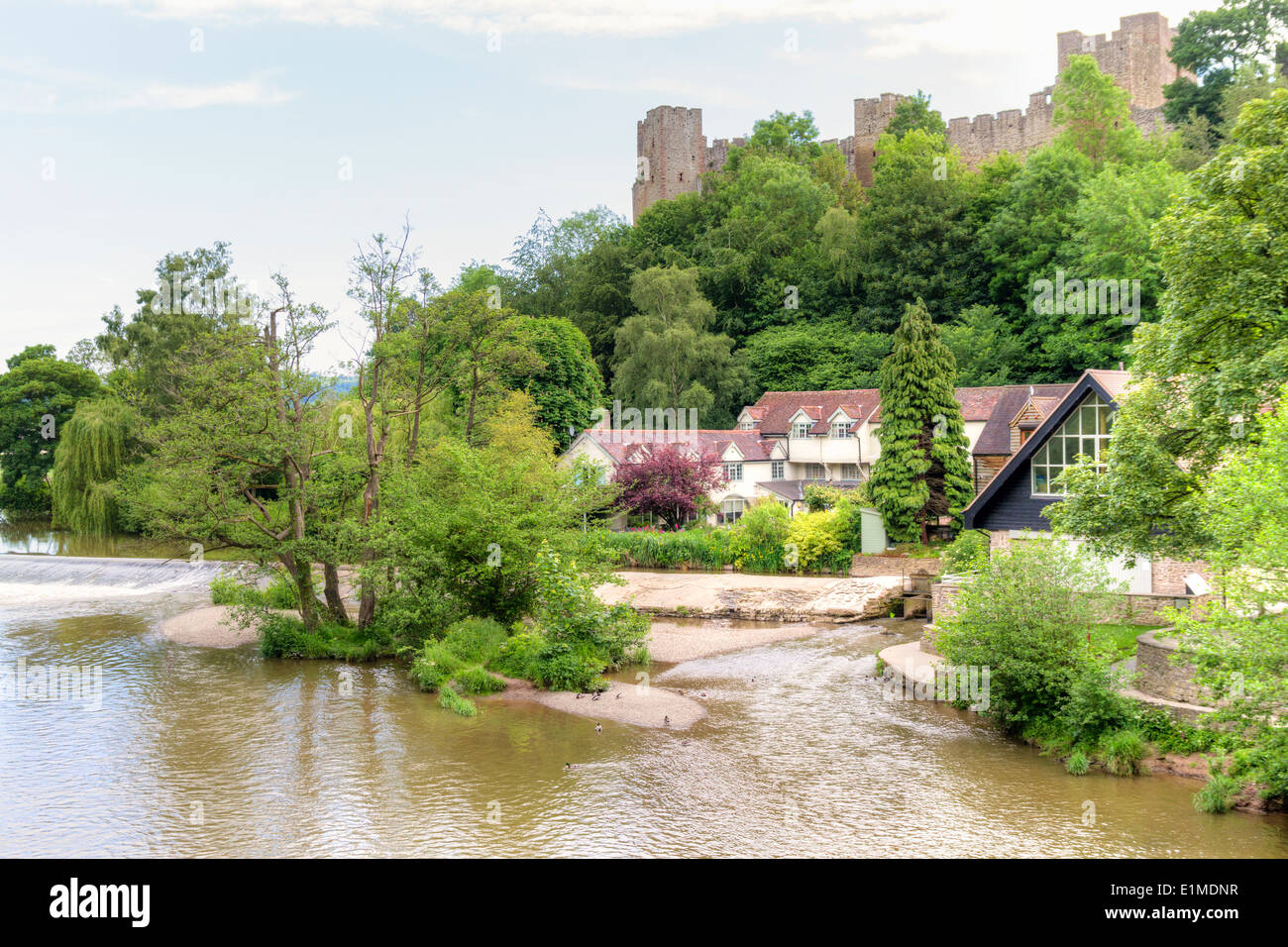 The River Teme in Ludlow Shropshire with Ludlow Castle in the ...