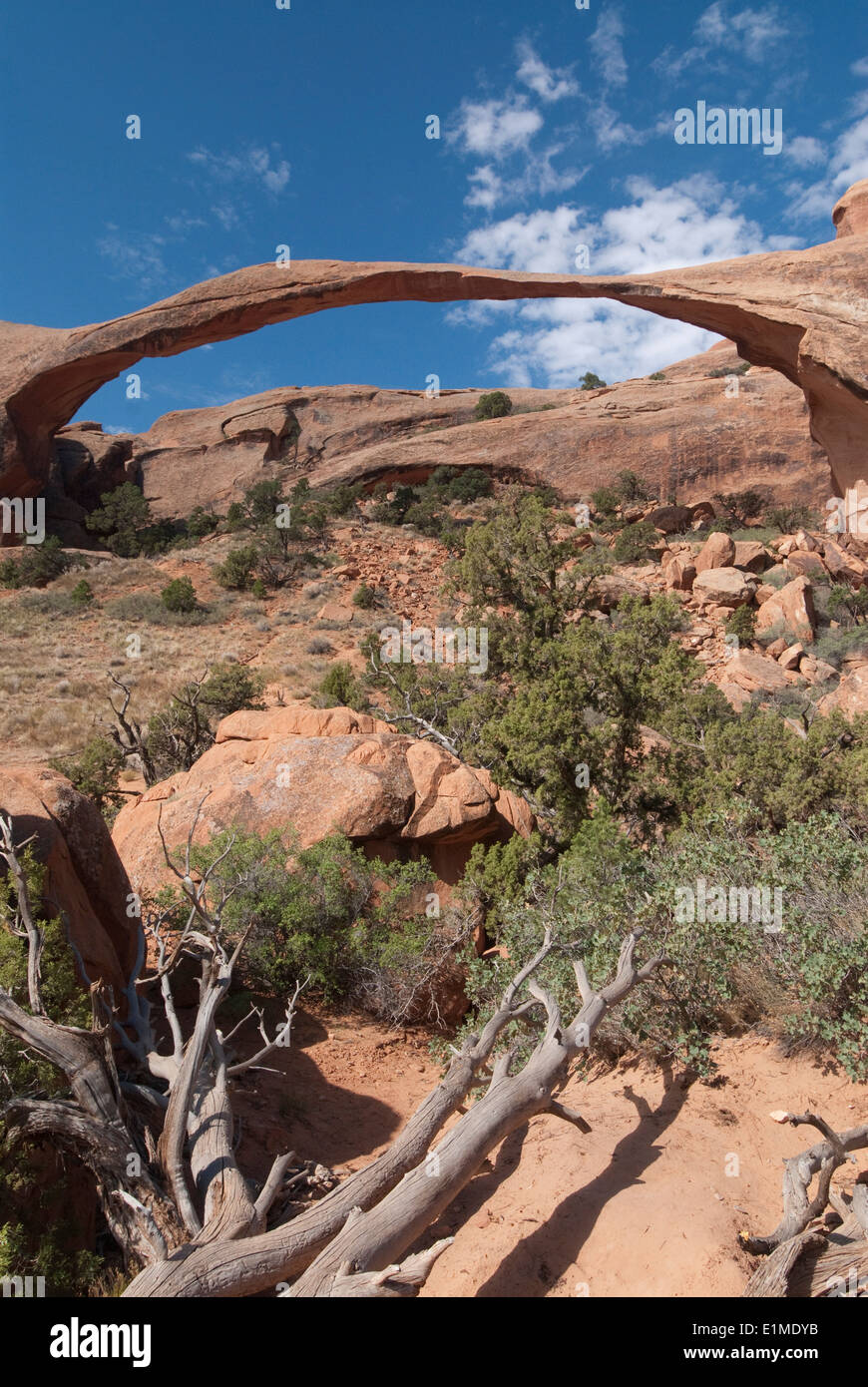 USA, Utah, Arches National Park, Landscape Arch Stock Photo - Alamy