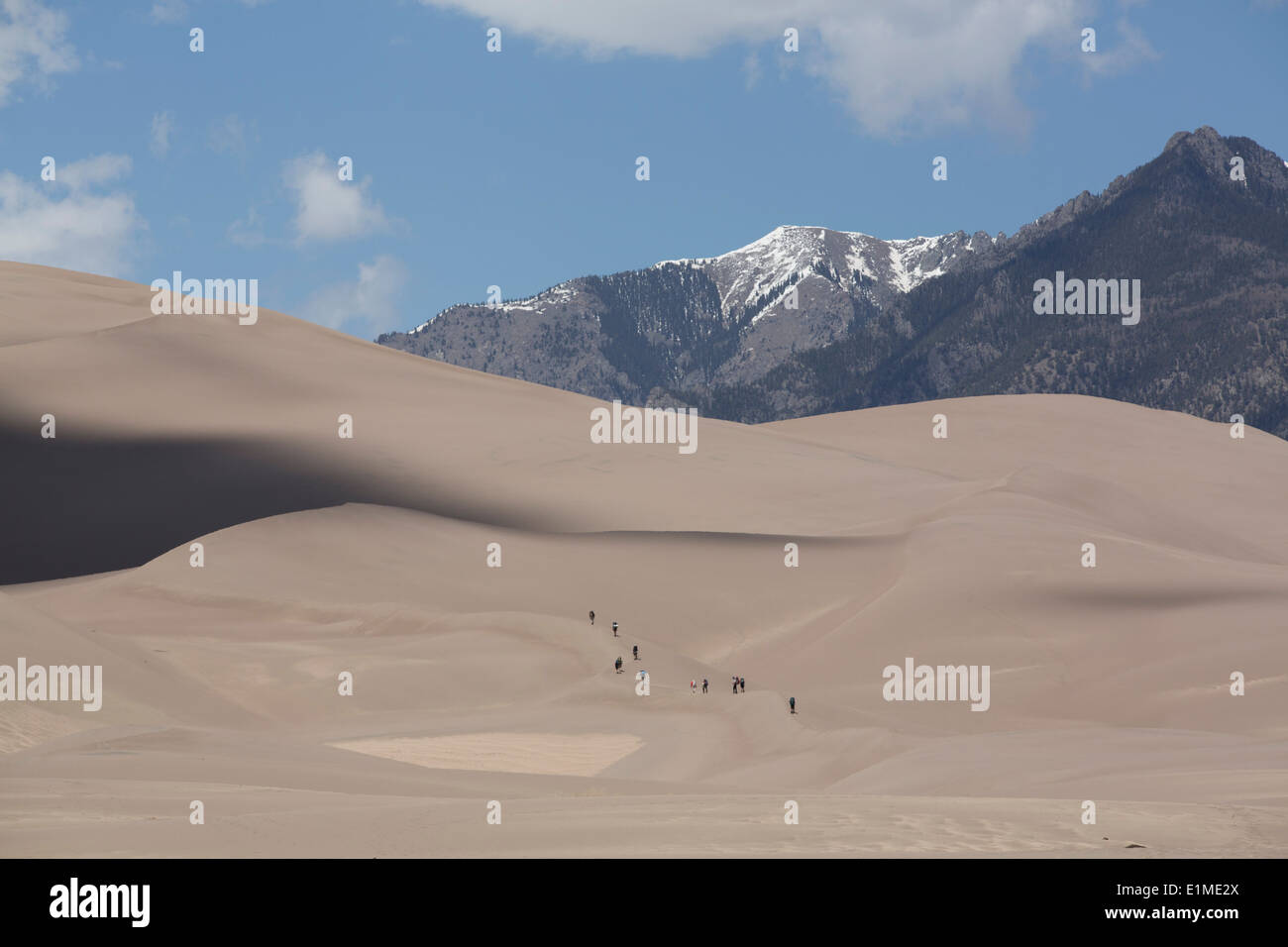 USA, Colorado, Great Sand Dunes National Park and Preserve, group of ...