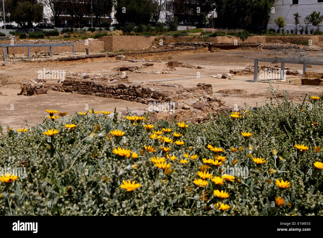 Cynosarges hi-res stock photography and images - Alamy