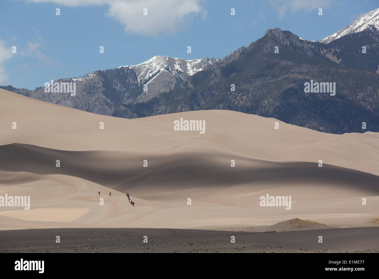 USA, Colorado, Great Sand Dunes National Park and Preserve, group of ...