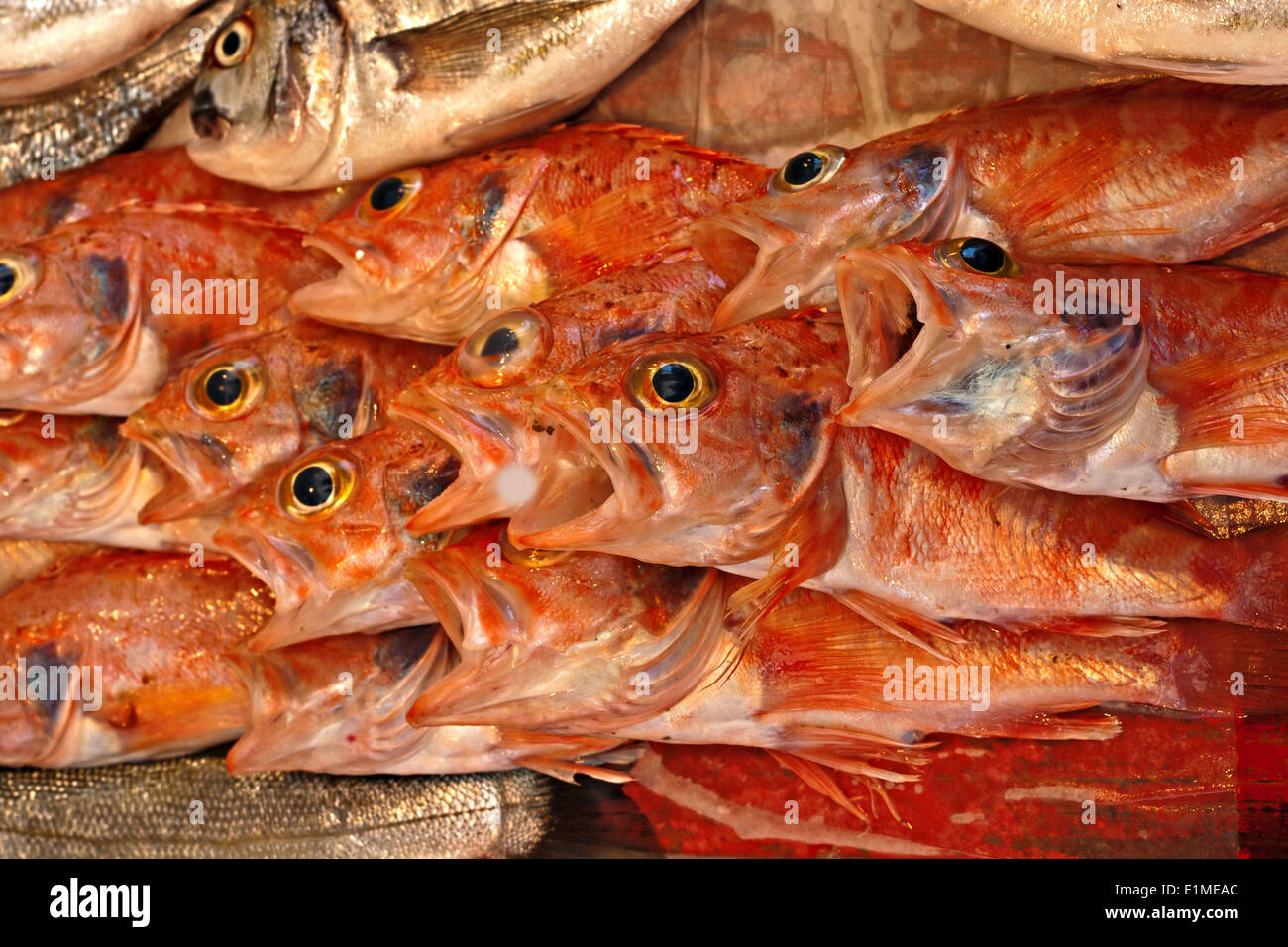 Fresh fish for sale on outdoor street market Stock Photo - Alamy