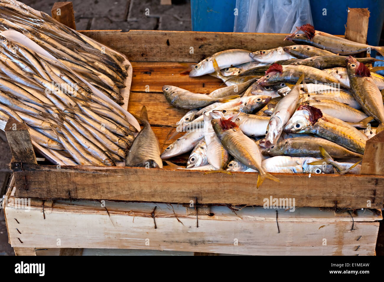 Fresh fish for sale on outdoor street market Stock Photo - Alamy