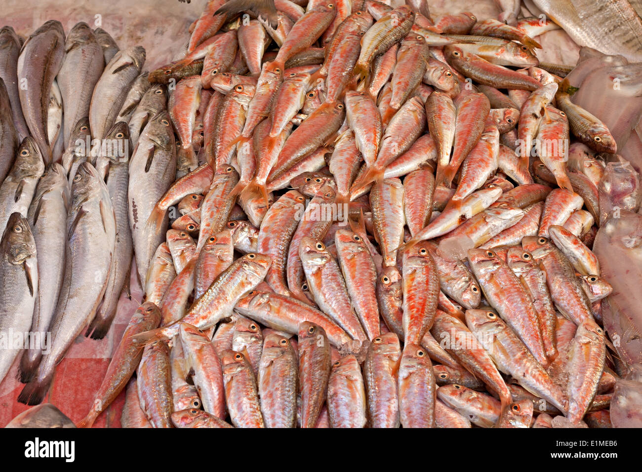 Fresh fish for sale on outdoor street market Stock Photo - Alamy