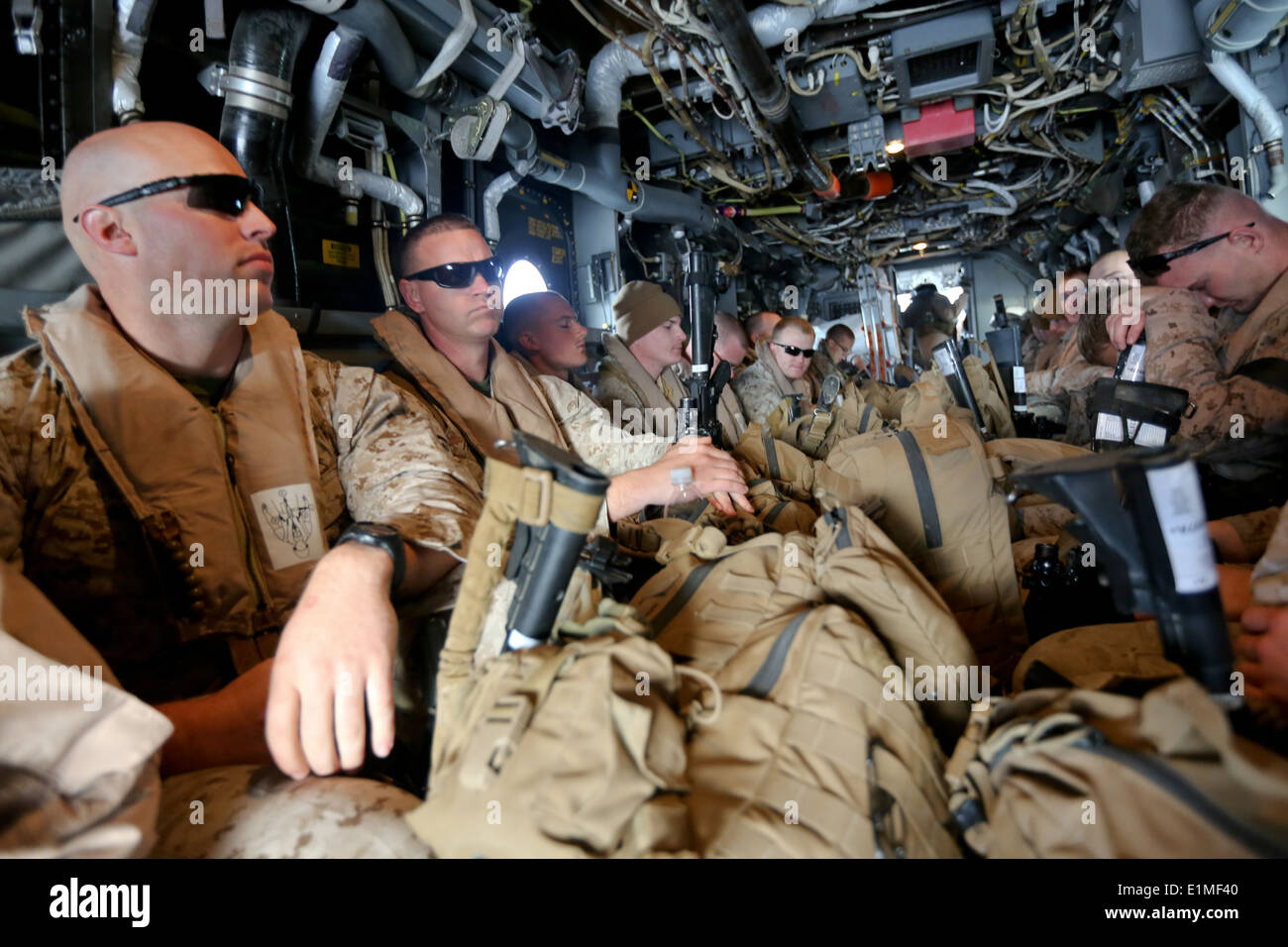 Task force lion hi-res stock photography and images - Alamy