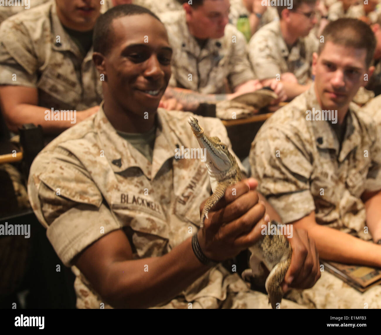 A U.S. Marine with Marine Rotational Force-Darwin handles a freshwater ...
