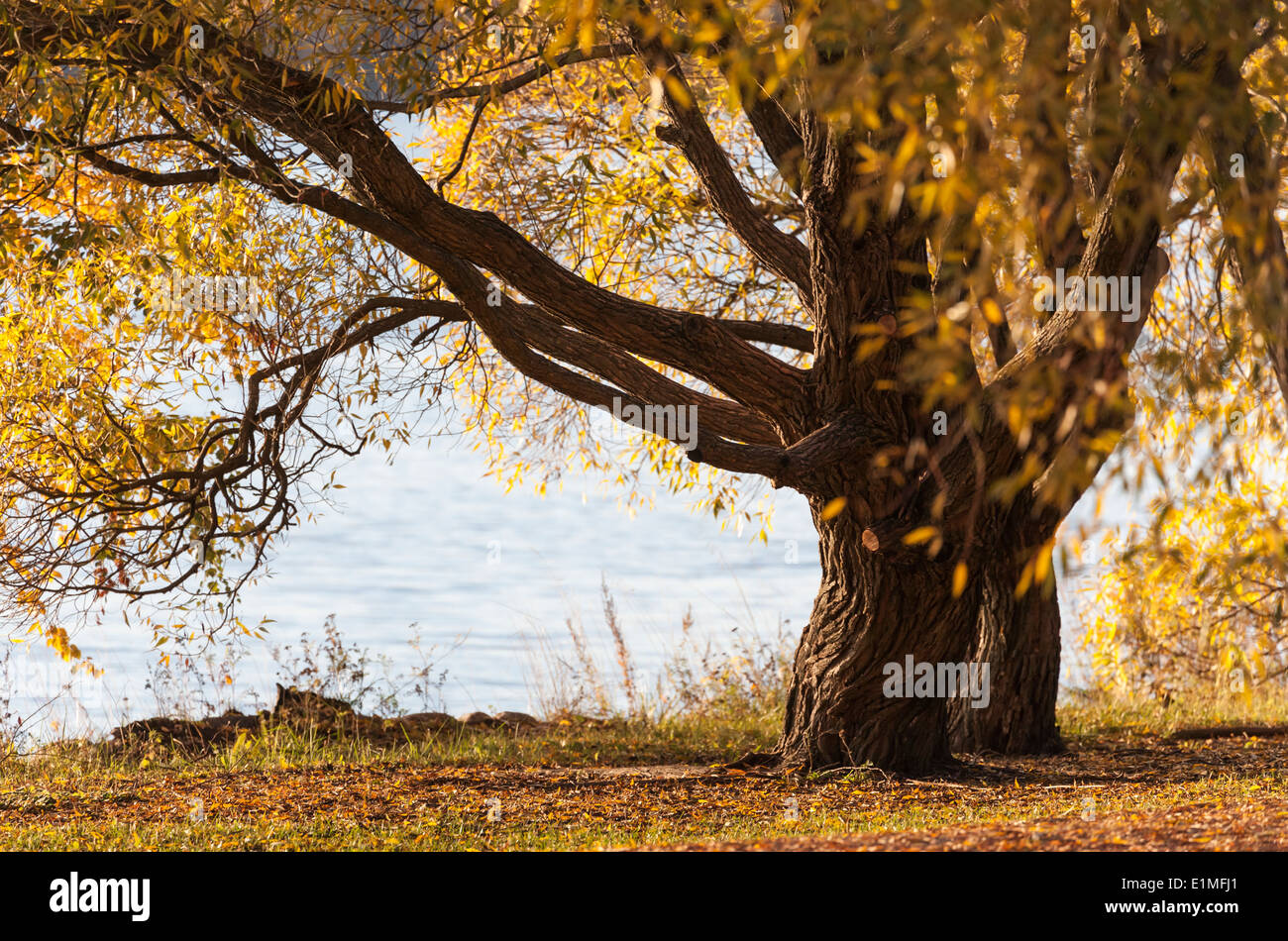 Autumn fall baltic hi-res stock photography and images - Alamy