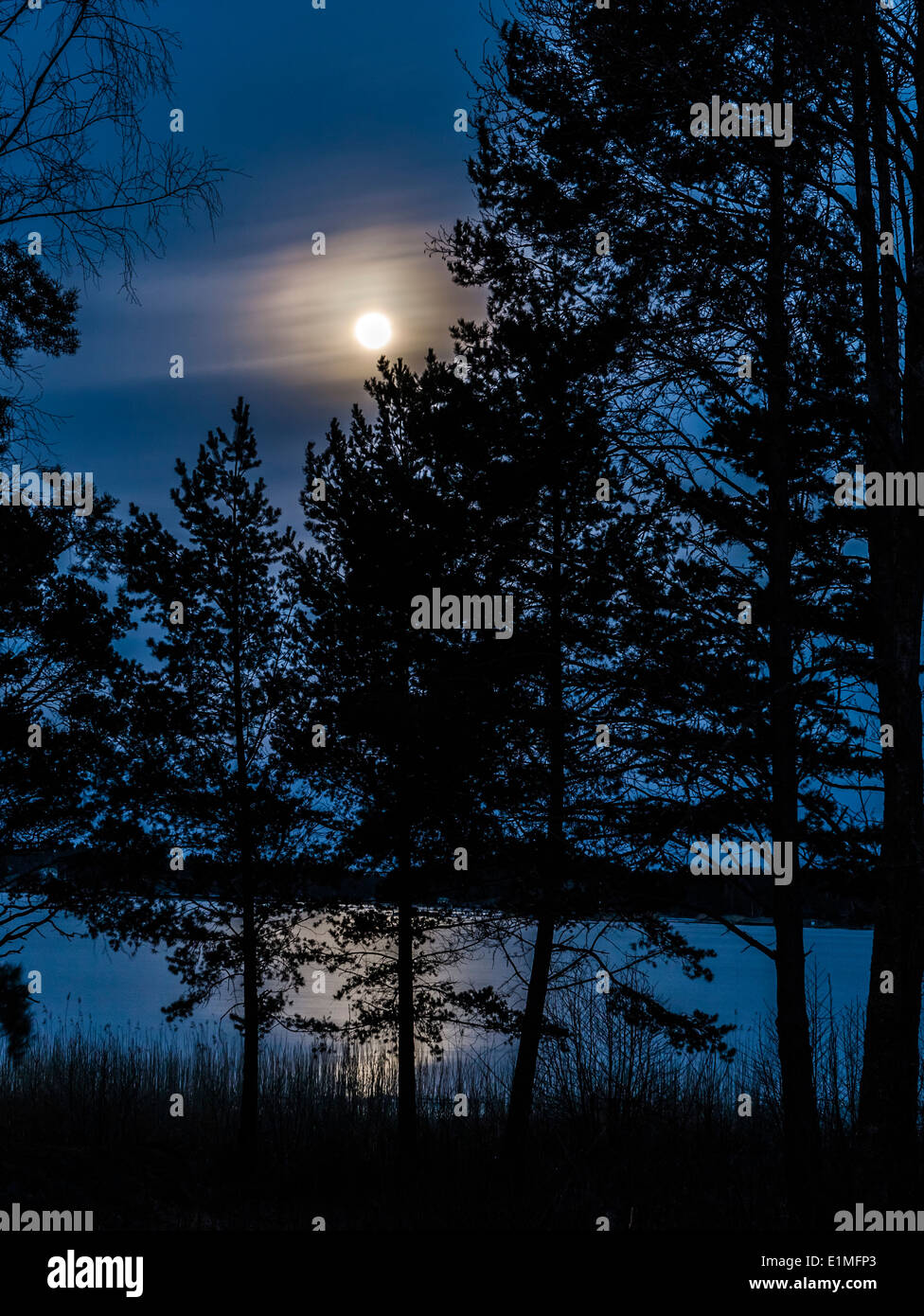 Moonlight shadow hi-res stock photography and images - Alamy