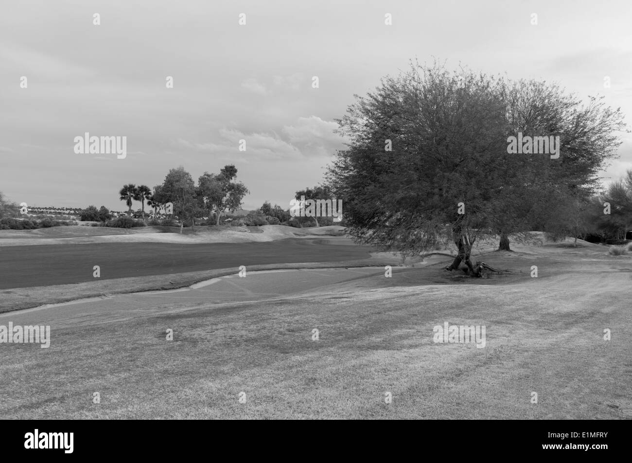 Golf Course Black And White