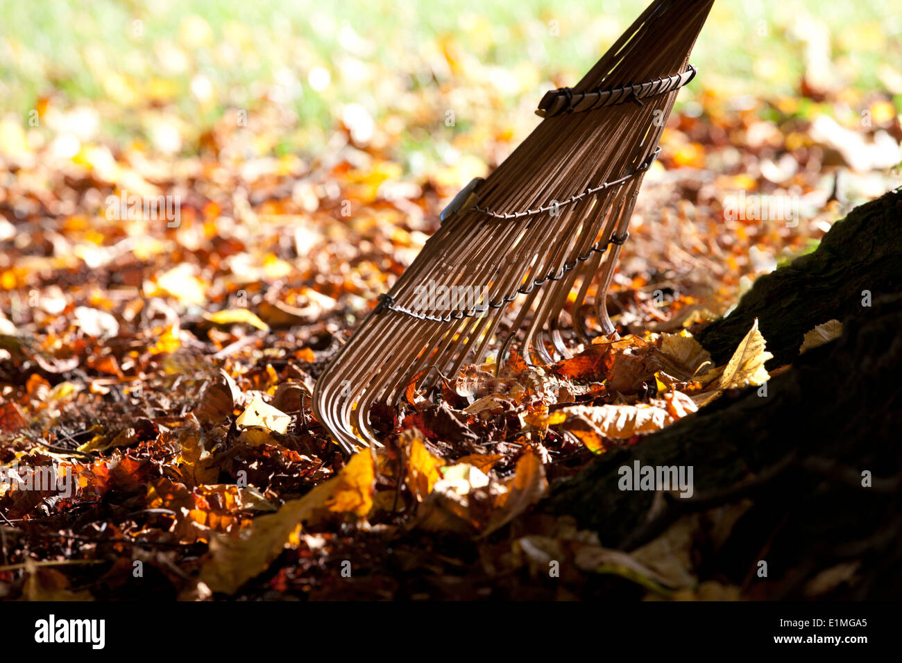 Bamboo rake hi-res stock photography and images - Alamy