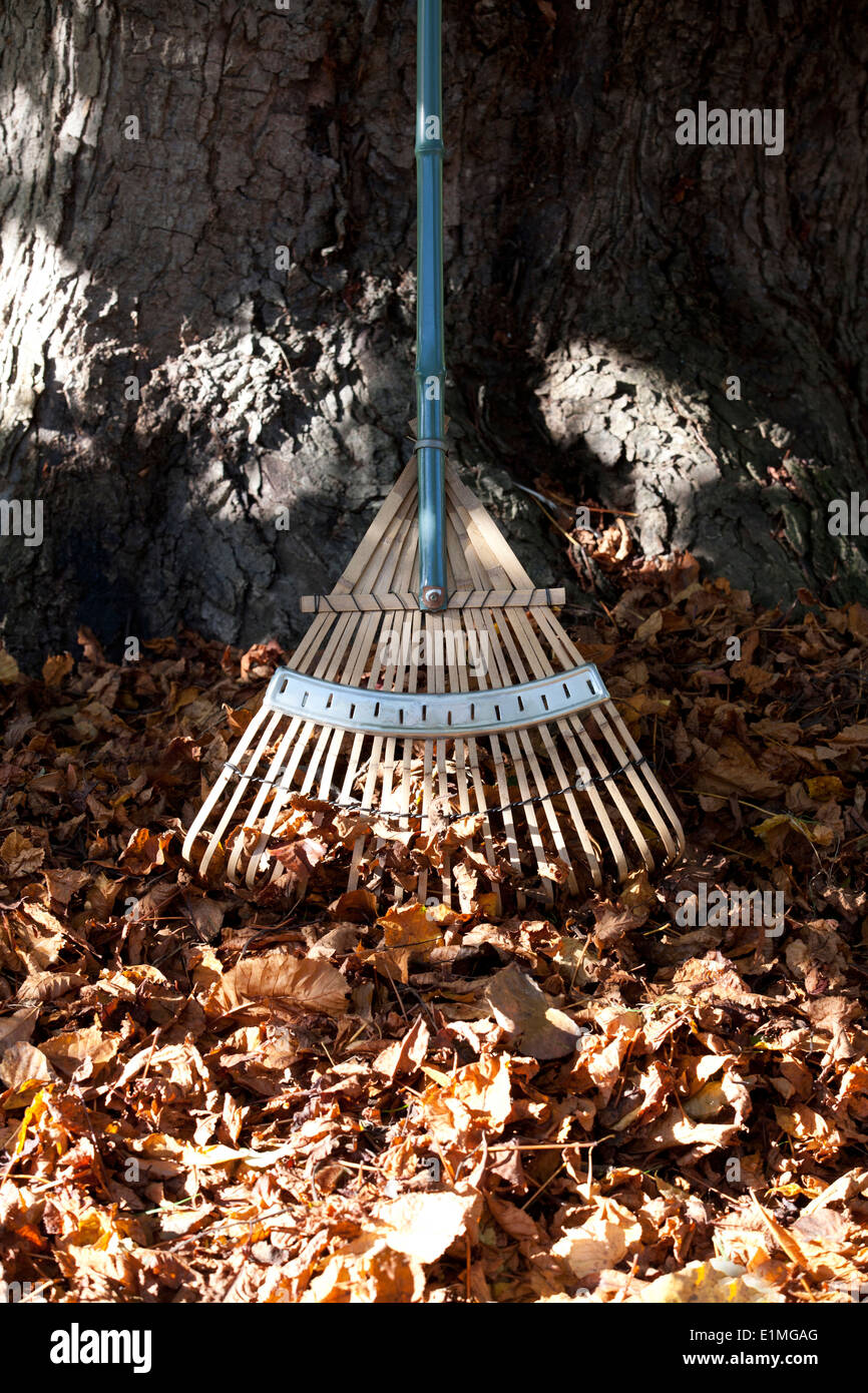 Rake against a tree hi-res stock photography and images - Alamy