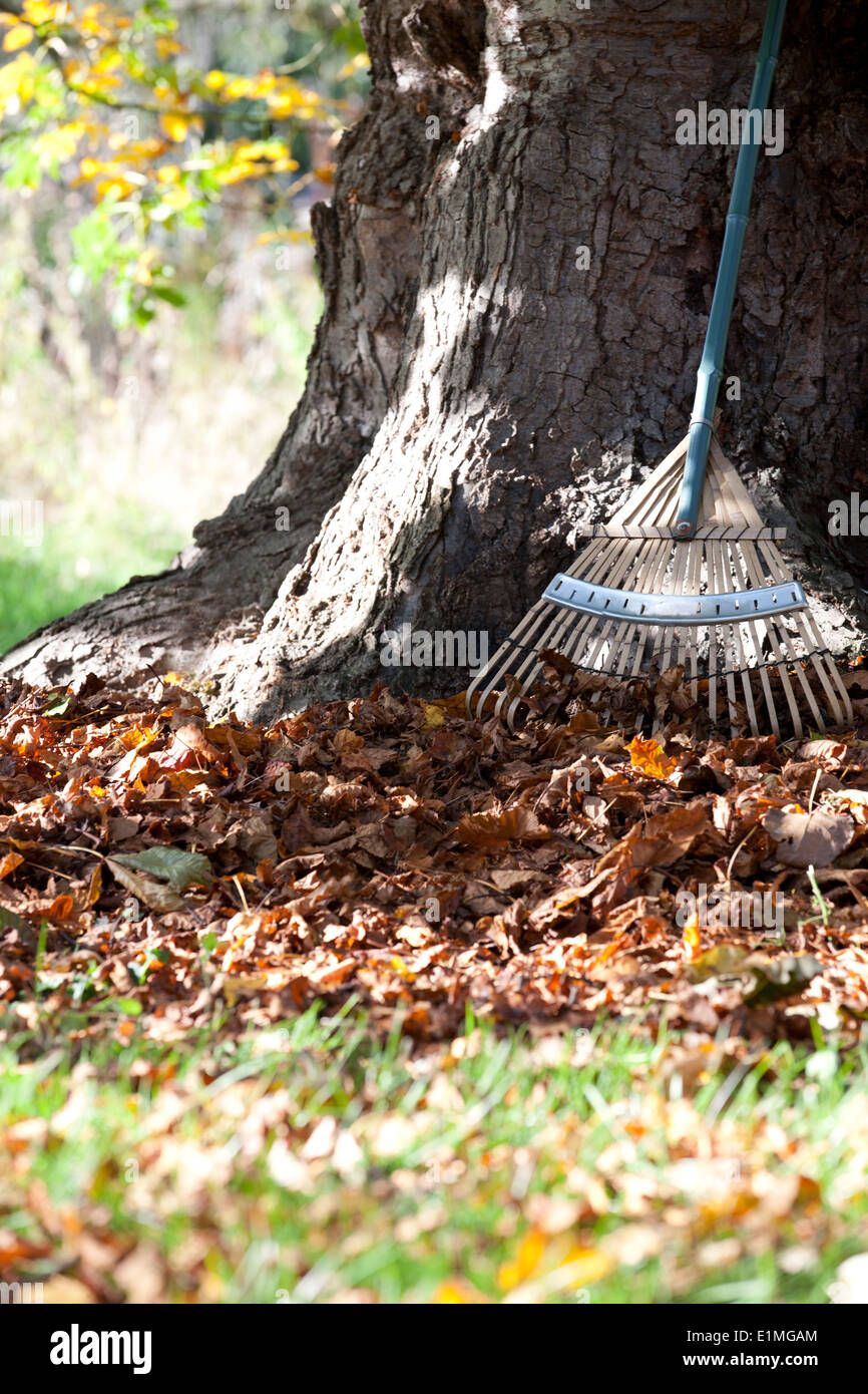 Rake against a tree hi-res stock photography and images - Alamy