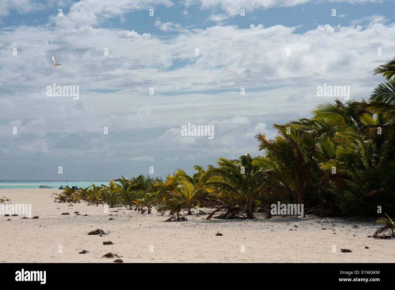 Most beautiful cook island beaches hi-res stock photography and images ...