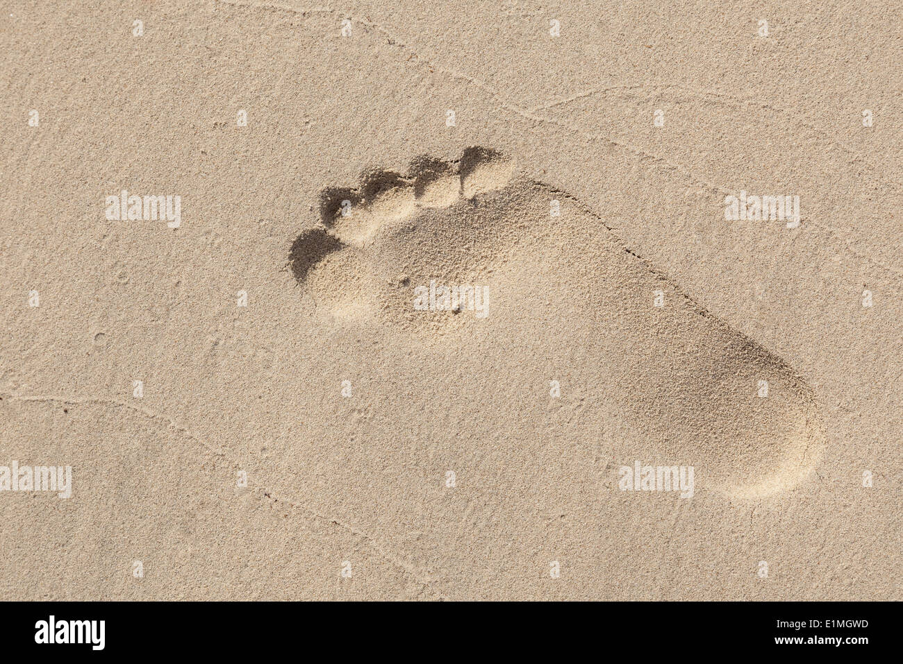 Man footprint in wet yellow sand on the beach Stock Photo - Alamy