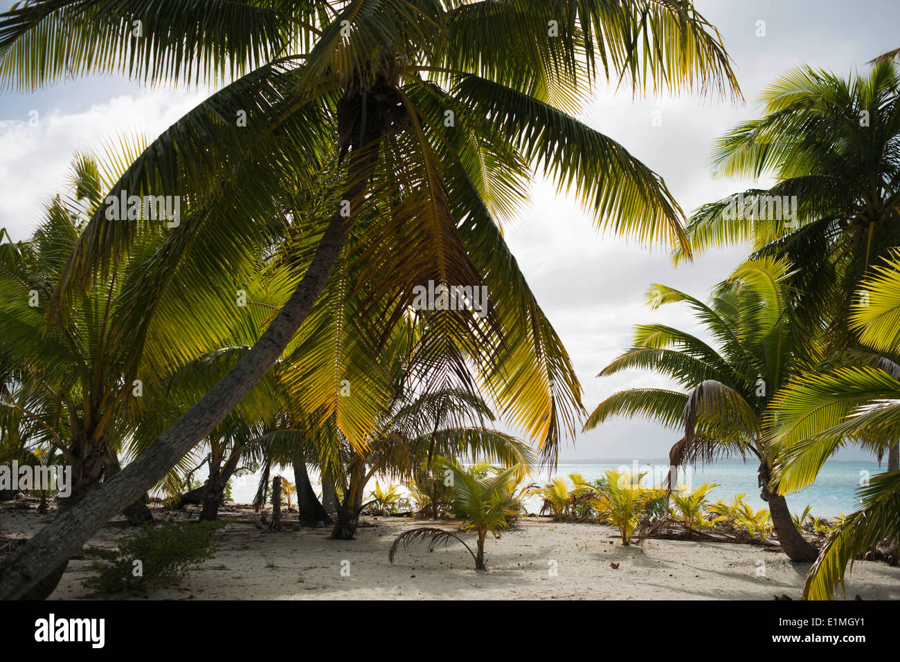 One foot island aitutaki cook hi-res stock photography and images - Alamy