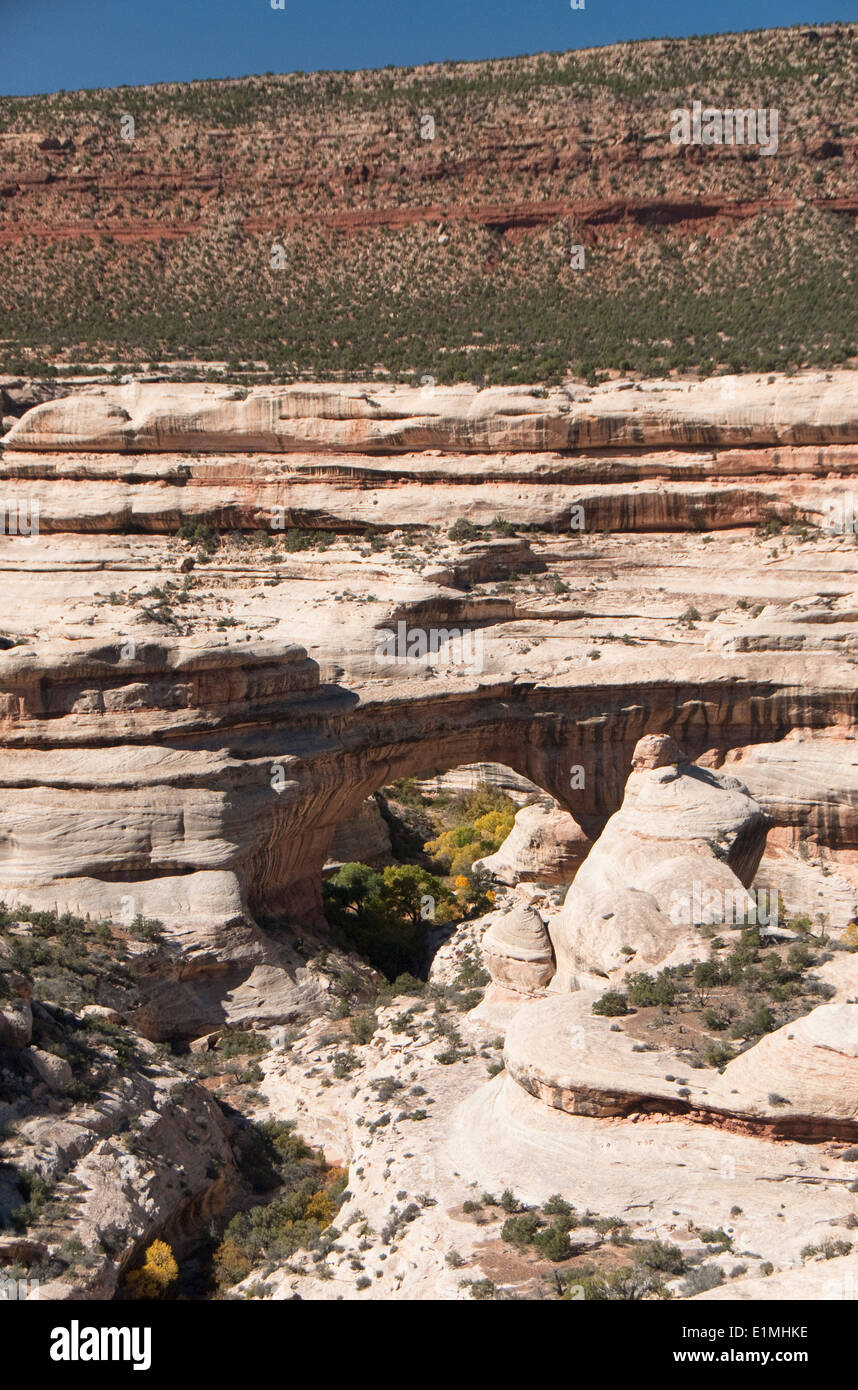 Natural bridges national monument hi-res stock photography and images ...