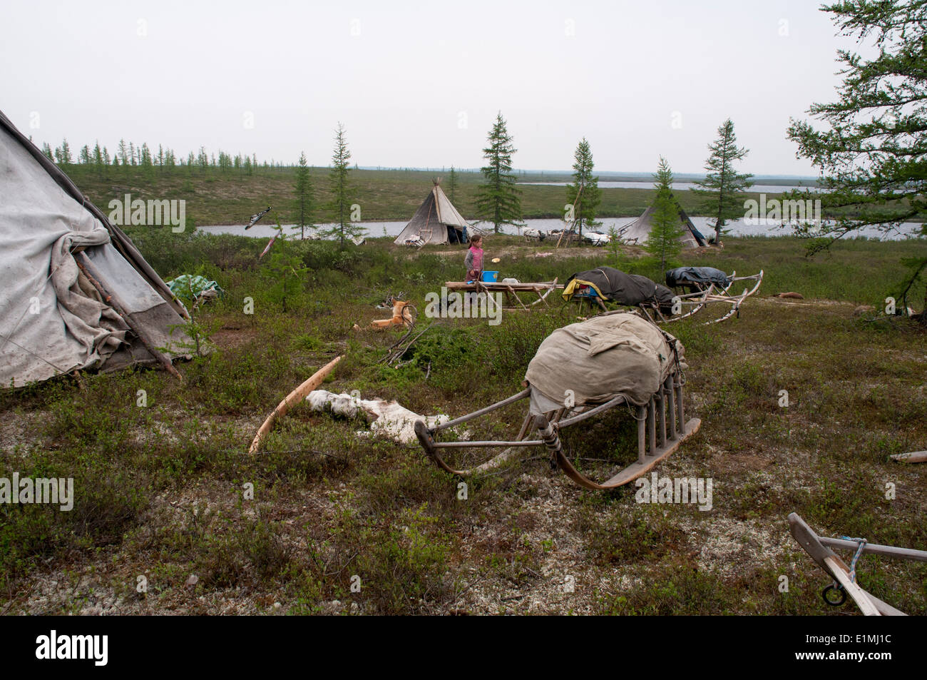 Nenets tent hi-res stock photography and images - Alamy