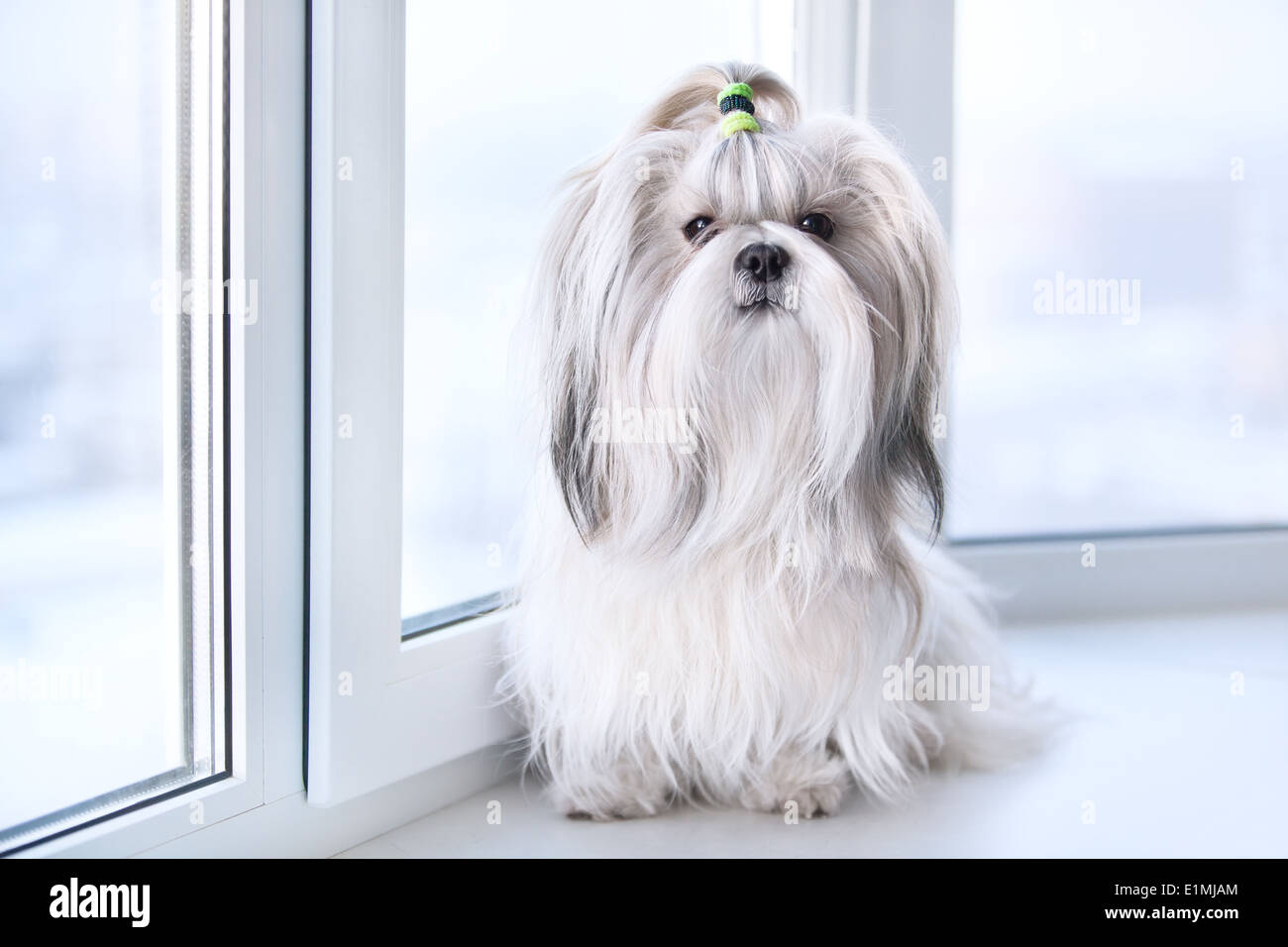 Sitting windows hi-res stock photography and images - Alamy