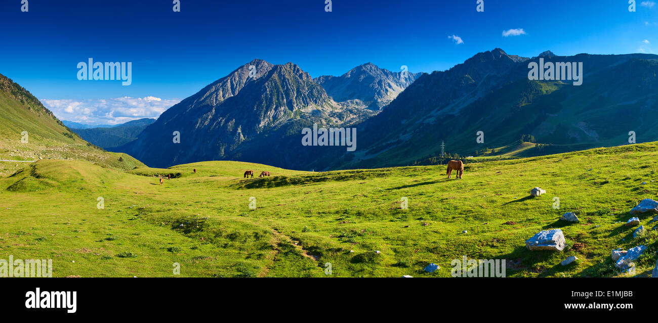 Pyrenees mountains summer panorama with horses Stock Photo - Alamy