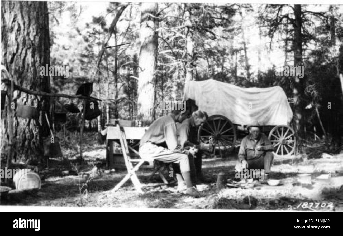This black-and-white photograph captures a historical scene of forest ...