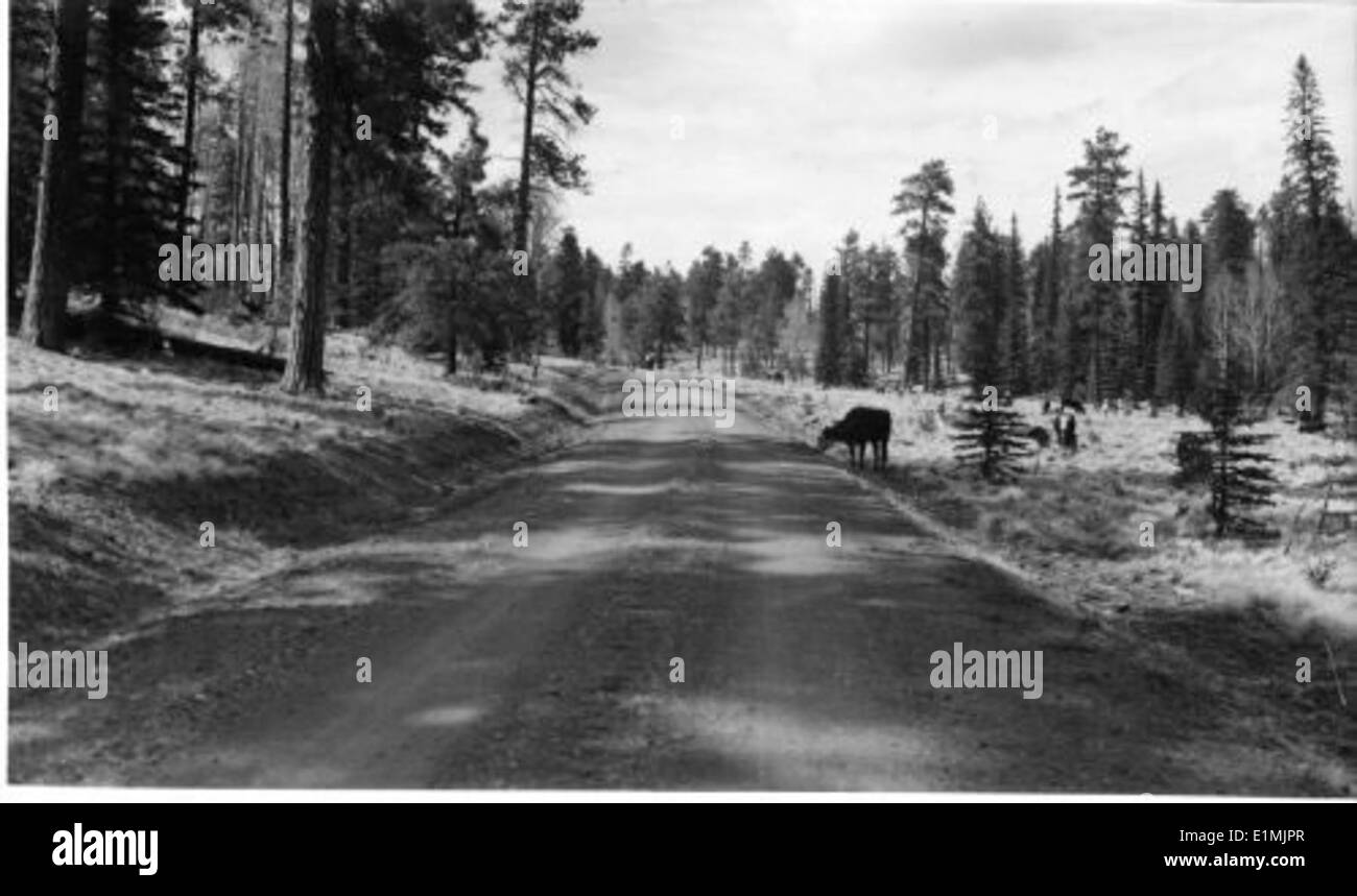 Care symmetry Black and White Stock Photos & Images - Alamy